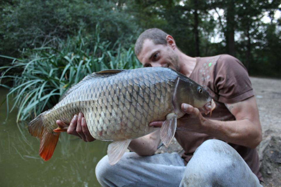 Nature Reserve Common | Total Carp